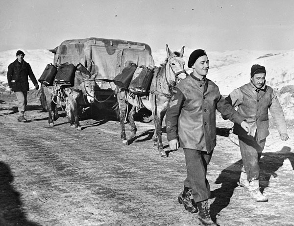 Italian Campaign – WARTIMES.ca